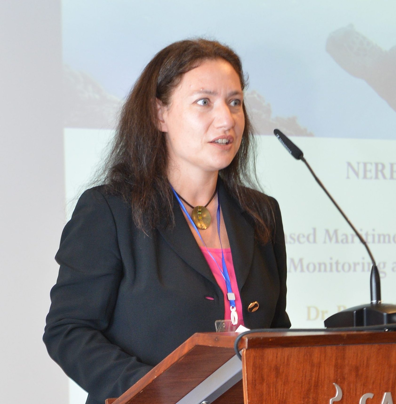 NEREUS – Mauritius Research and Innovation Council